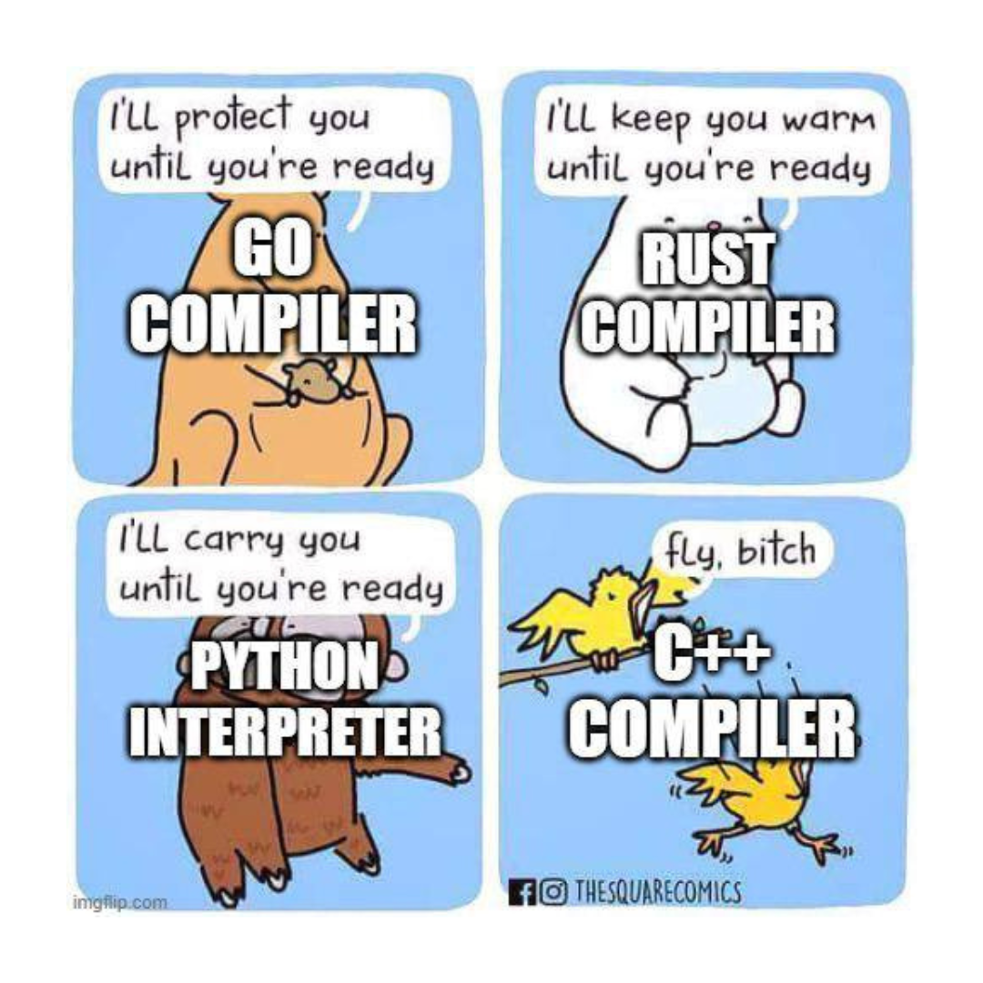 whichCompiler · ProgrammerHumor.io whichCompiler · ProgrammerHumor.io